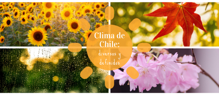 Clima de Chile: diversos y definidos - Ward Van Lines